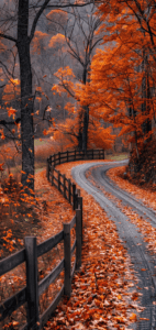 Free Fall Wallpapers To Transform Your Phone This Autumn - Our Happy Corner